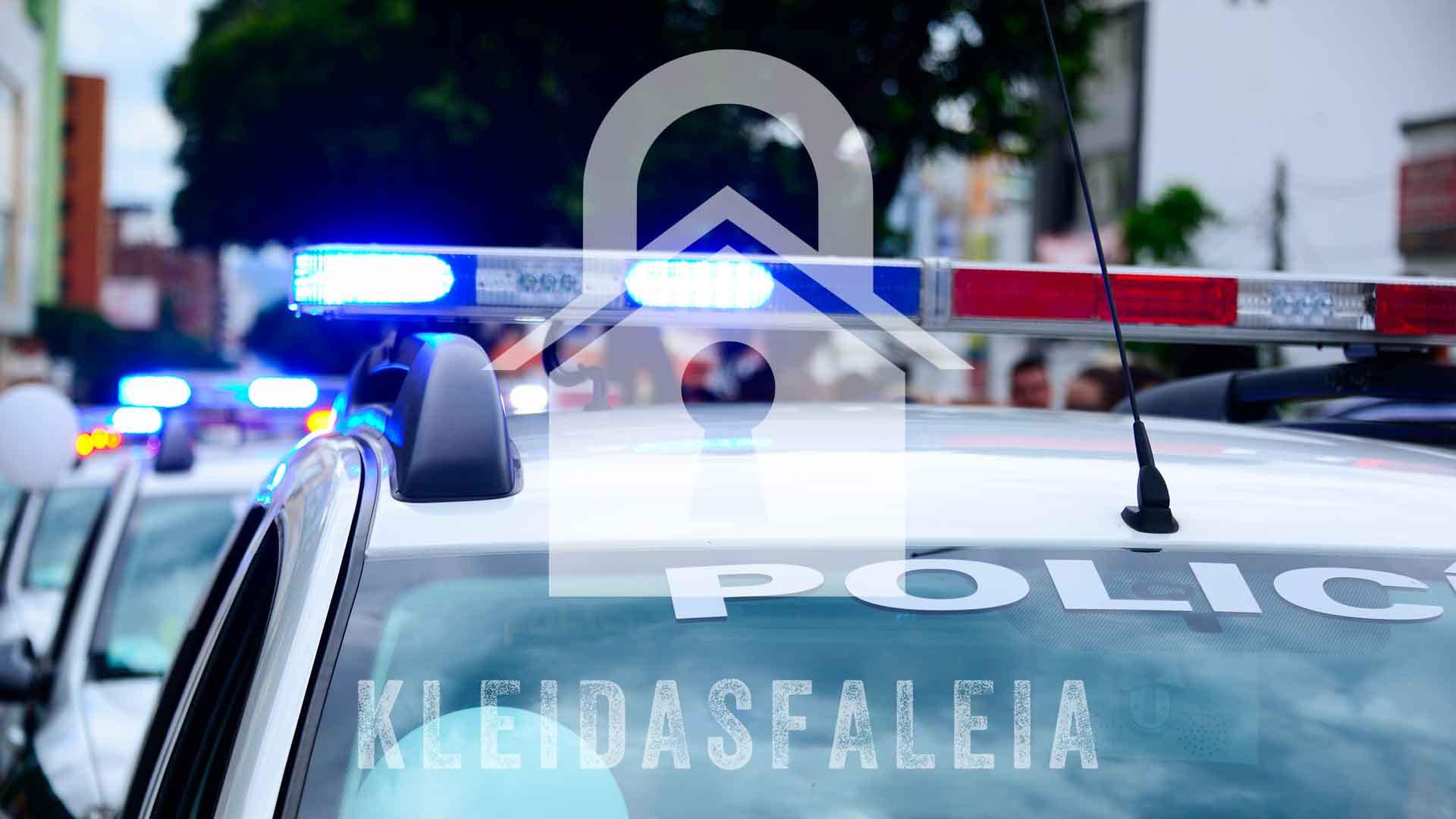 Ελληνική Αστυνομία